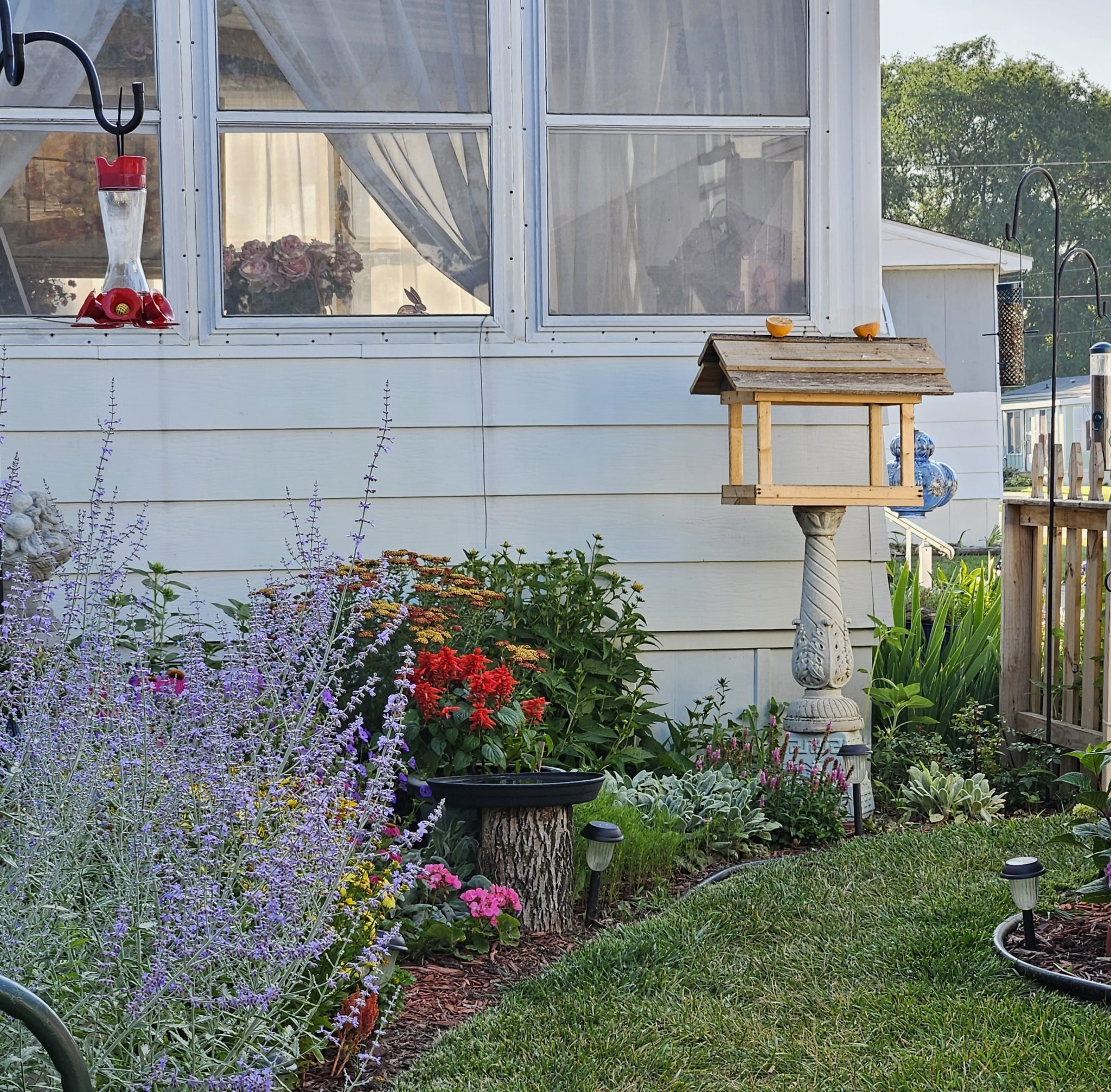 Basic birdwatching and bird feeding: Make feathered friends in Faded ...